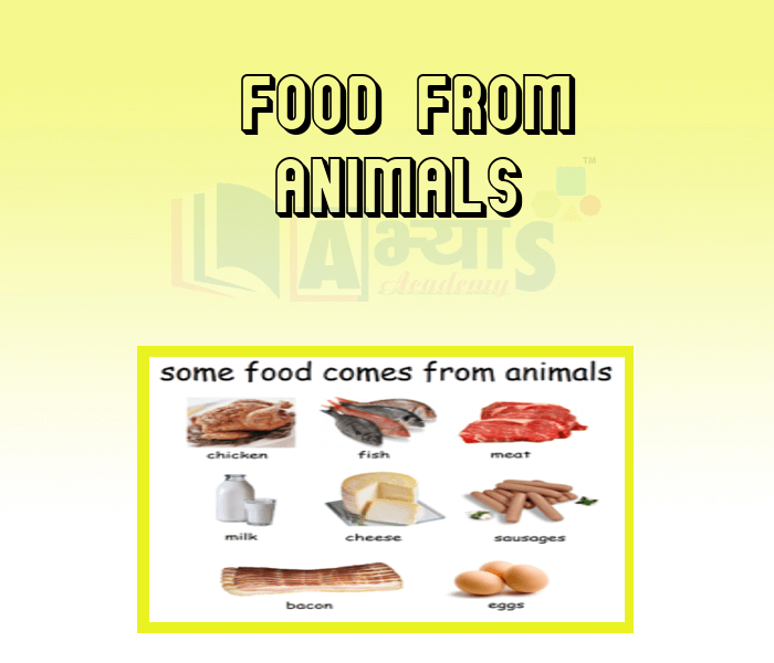 Top 193 Food From Animals Images Lestwinsonline Top 193 Food From Animals Images Lestwinsonline
